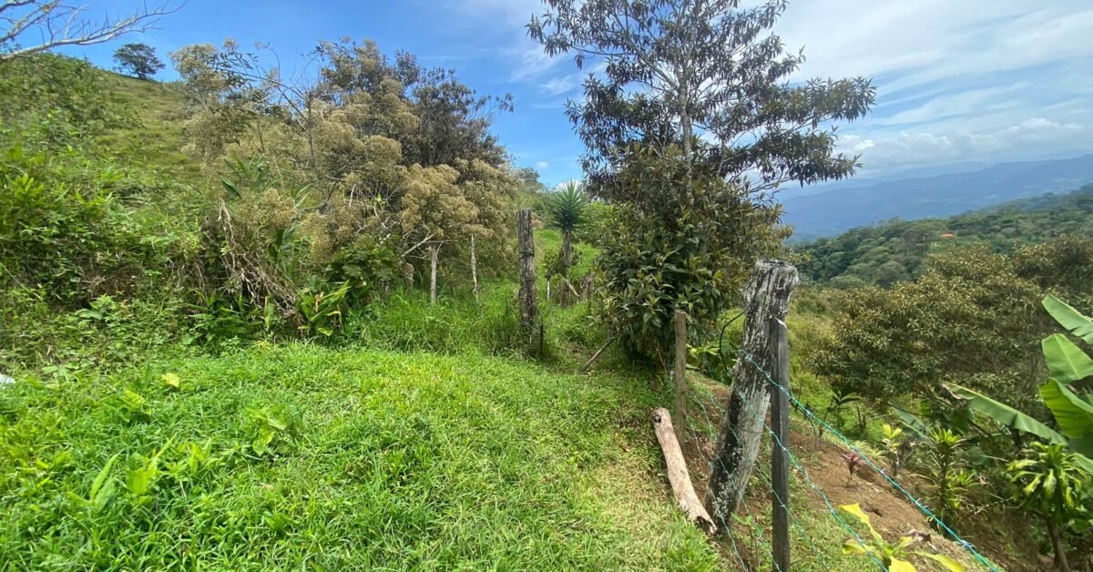 Venta de Finca, Santa Cruz, Turrialba - Mango Realty